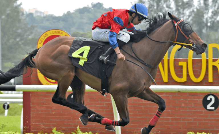 Derby Returns To PRTC Calendar - Perak Turf Club