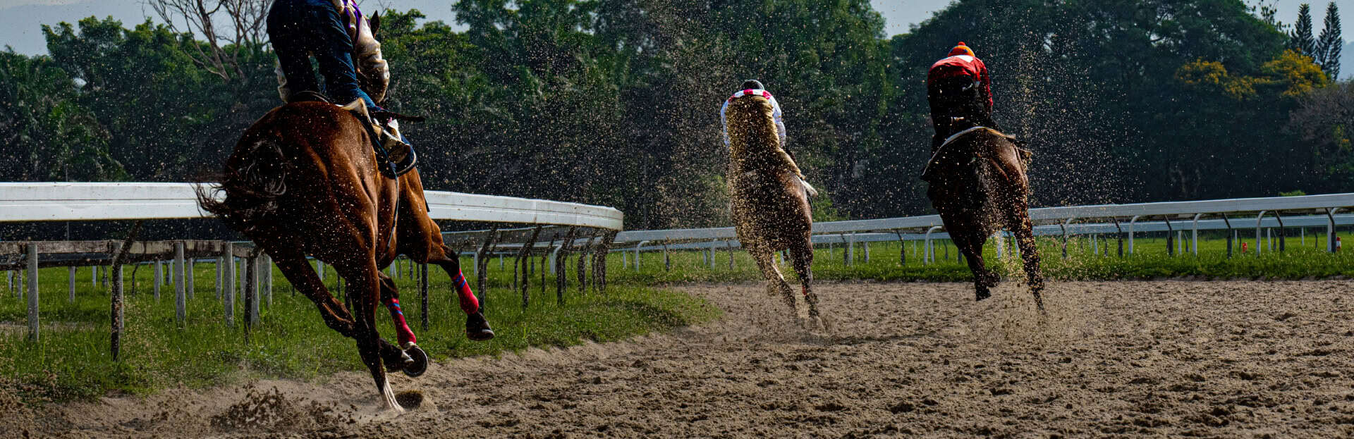 Equestrian - Perak Turf Club