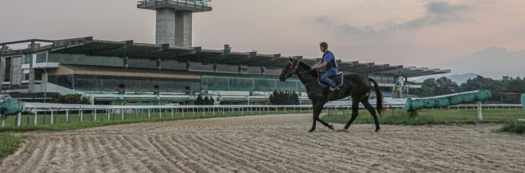 Advertise With Us - Perak Turf Club